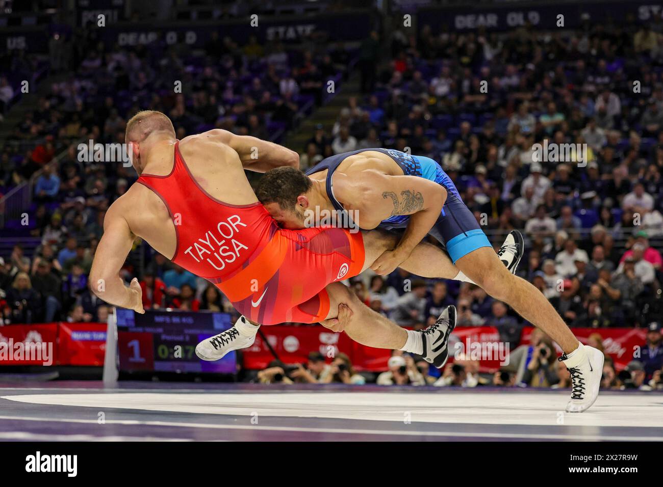 David wrestling with lion hi-res stock photography and images - Alamy
