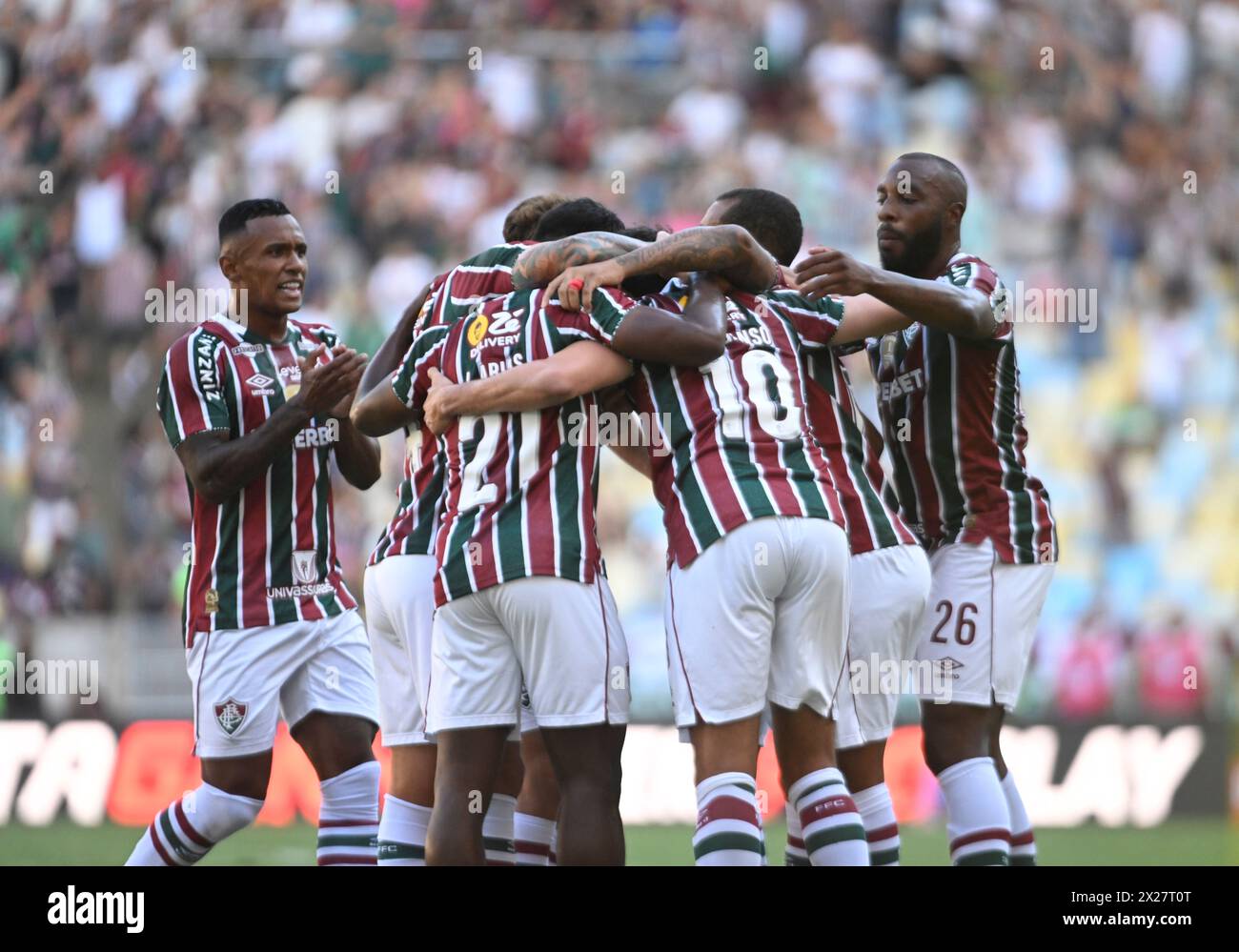 Ganso fluminense hi-res stock photography and images - Alamy