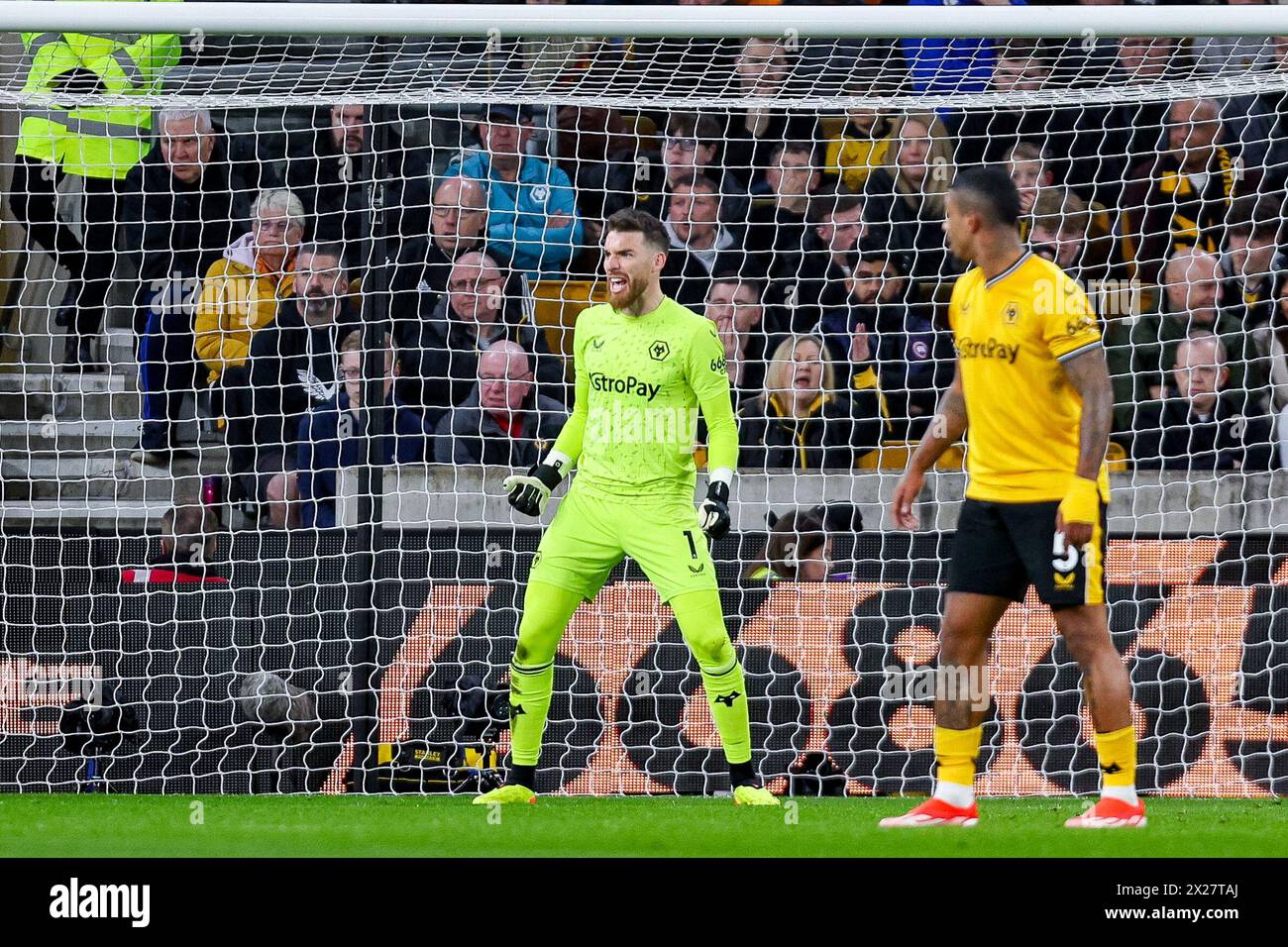 Jose sa wolves hi-res stock photography and images - Alamy
