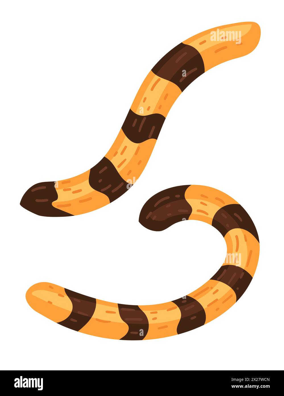 Decorative tiger tail cartoon animal tail design vector illustration ...