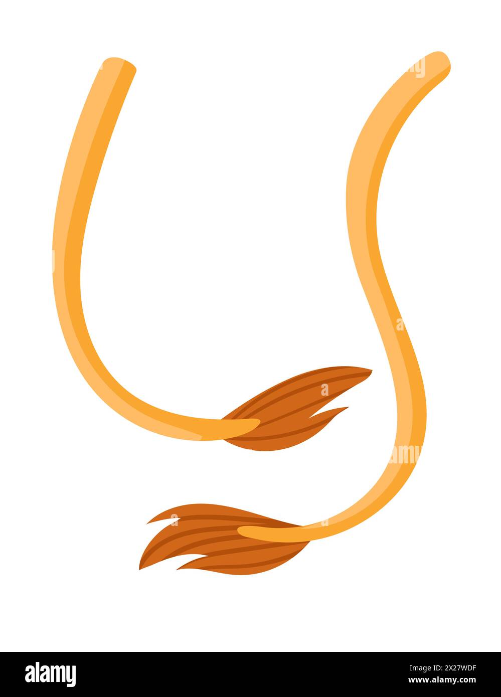 Decorative lion tail cartoon animal tail design vector illustration ...