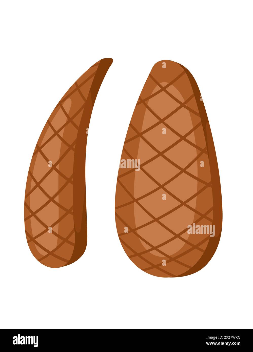 Decorative beaver tail cartoon animal tail design vector illustration ...