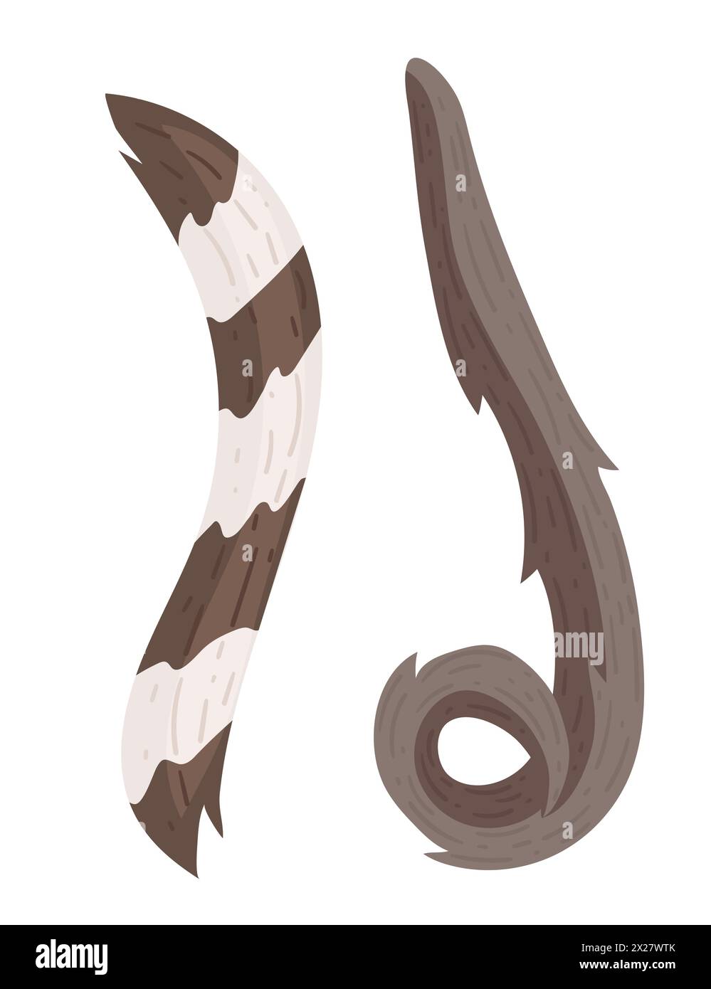 Decorative lemur tail cartoon animal tail design vector illustration ...