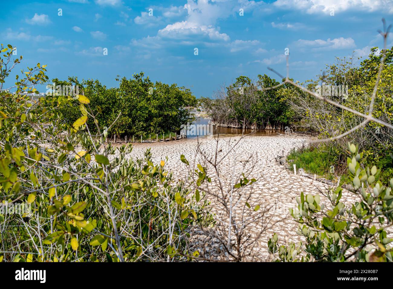 Wetland with drought problems due to high temperatures. Climate change ...