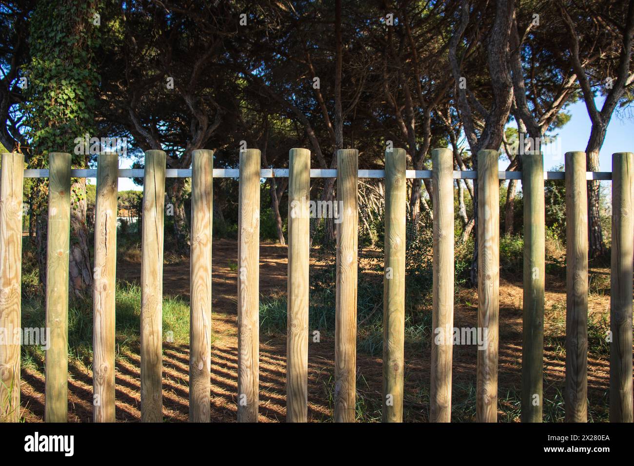 Happy Earth Day,Heal the Planet Earth,Delta del Llobregat in Barcelona ...