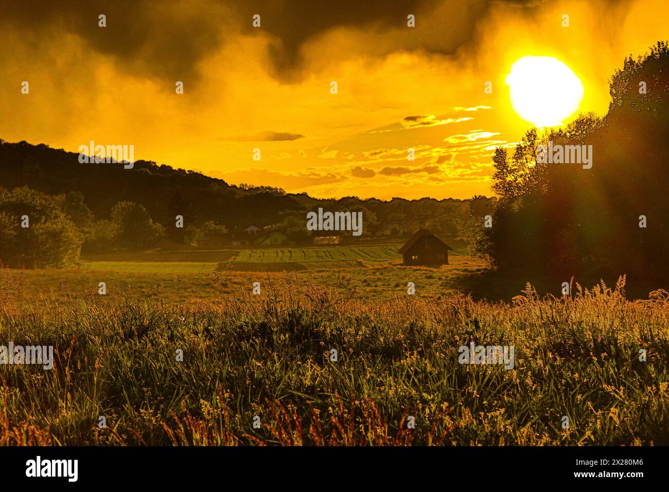 After the storm, the sun showed its golden color and honored us with ...