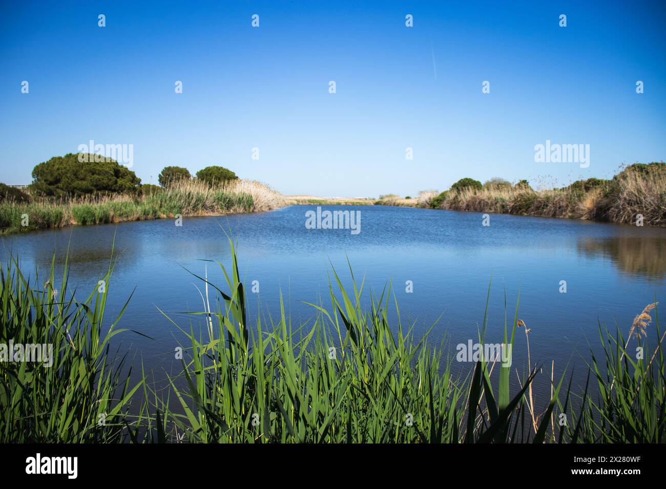 Happy Earth Day,Heal the Planet Earth,Delta del Llobregat in Barcelona ...