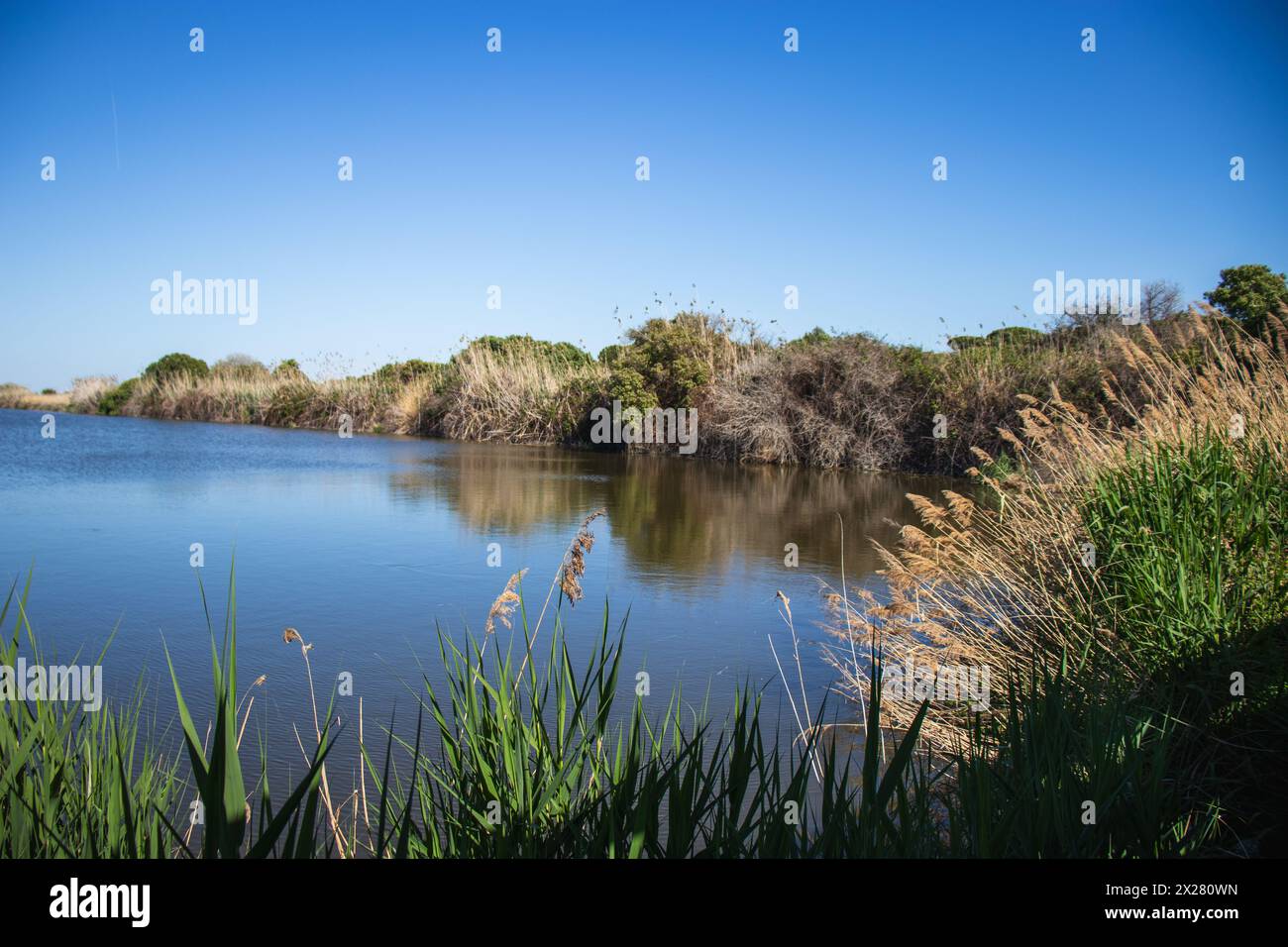 Happy Earth Day,Heal the Planet Earth,Delta del Llobregat in Barcelona ...