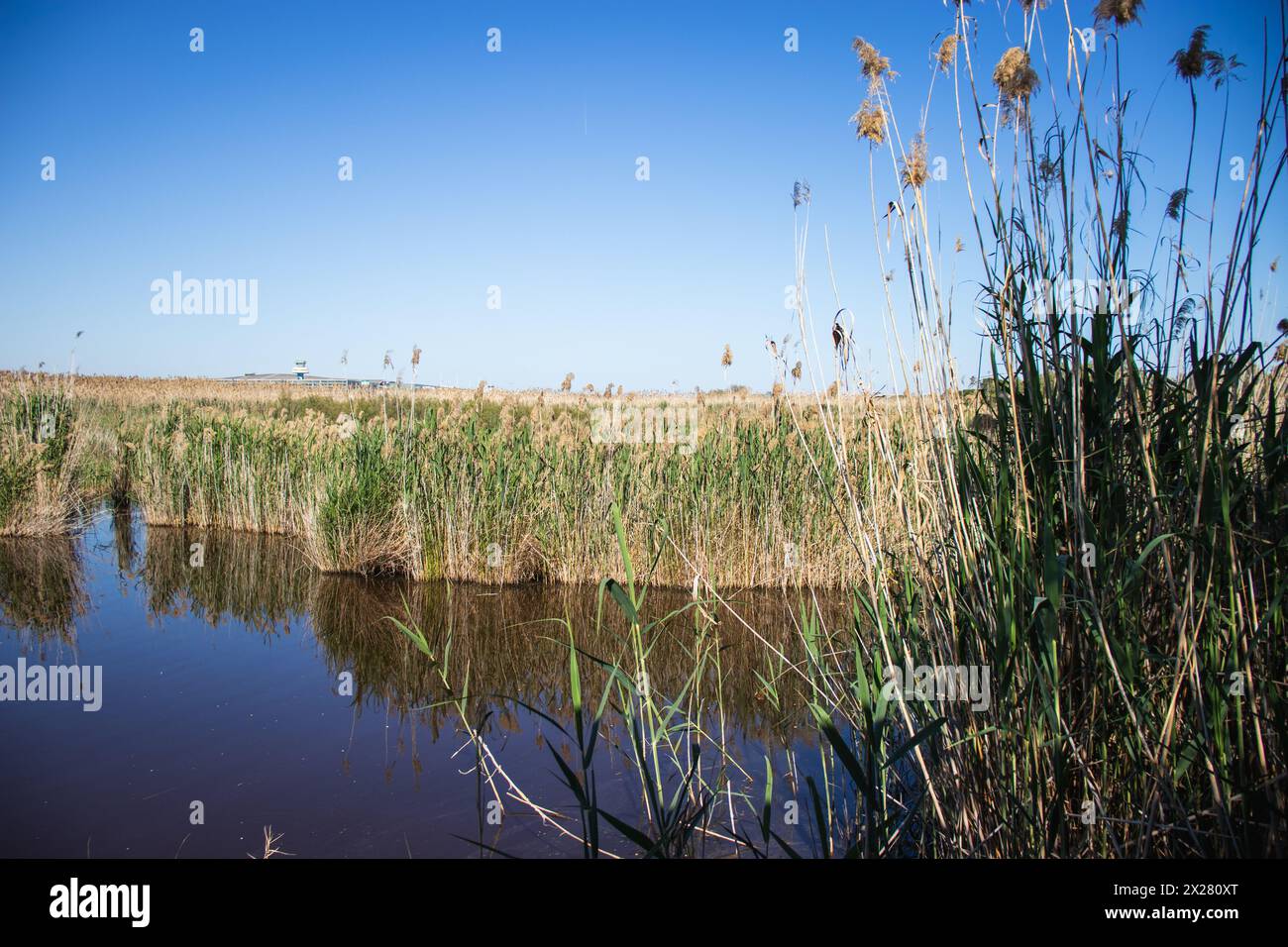 Happy Earth Day,Heal the Planet Earth,Delta del Llobregat in Barcelona ...