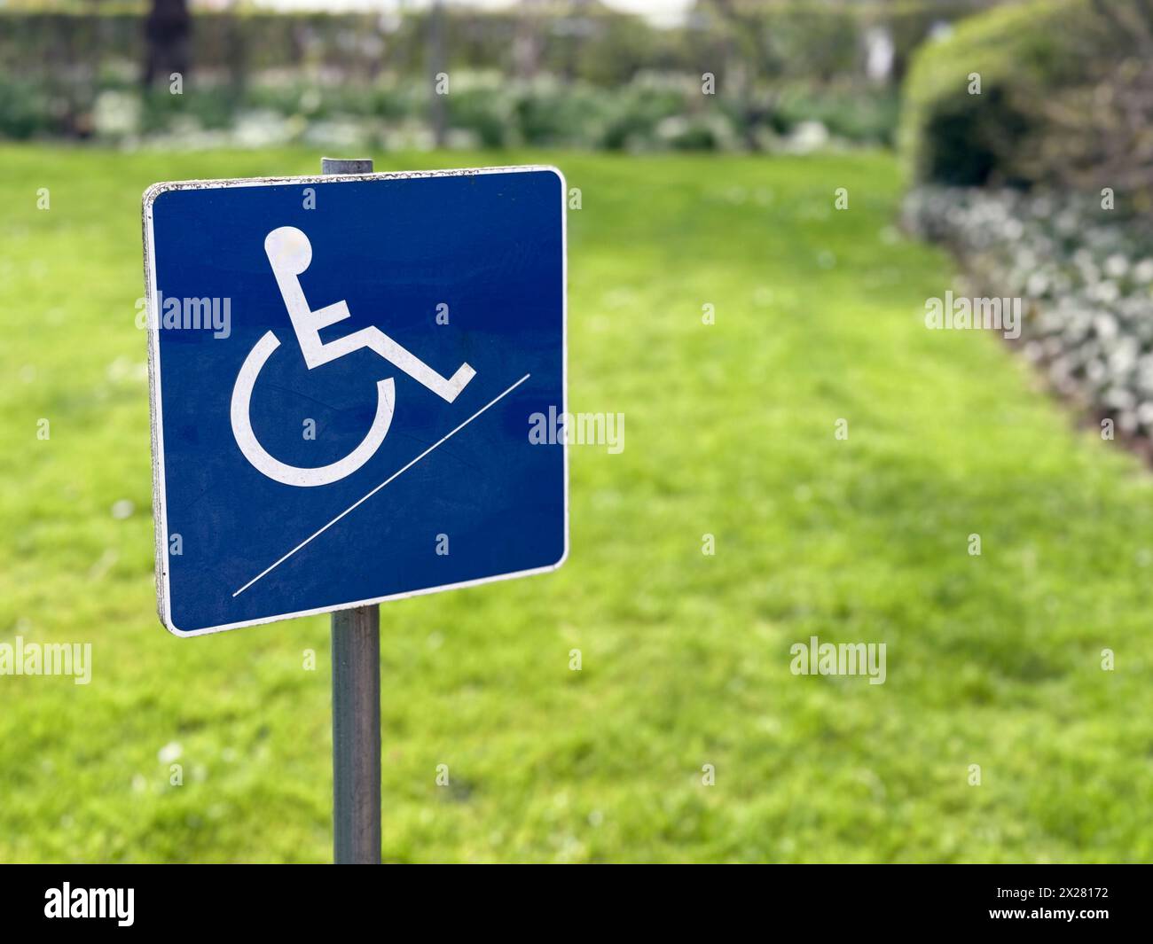 A small blue wheelchair handicap sign stands against a blurred garden ...