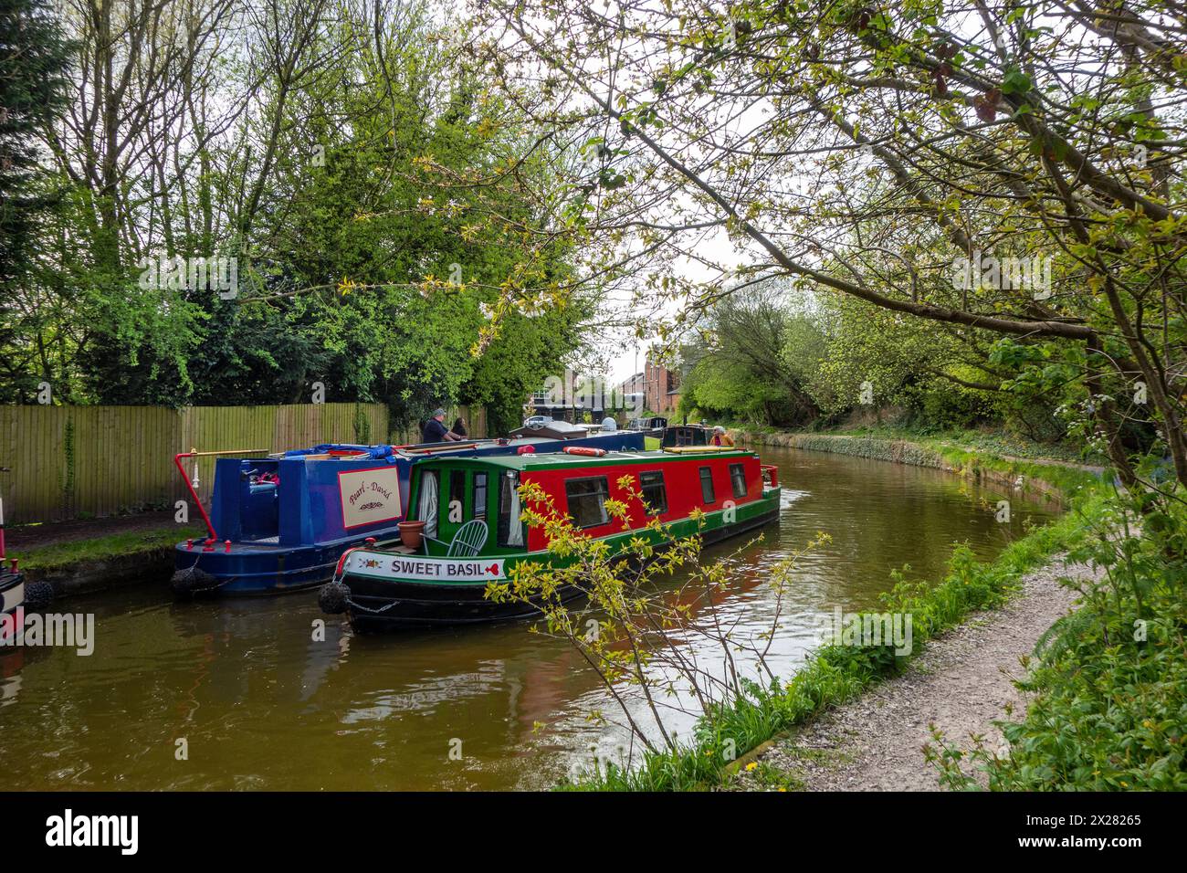 Canal narrowboat on the Trent and Mersey canal at wheelock Cheshire ...