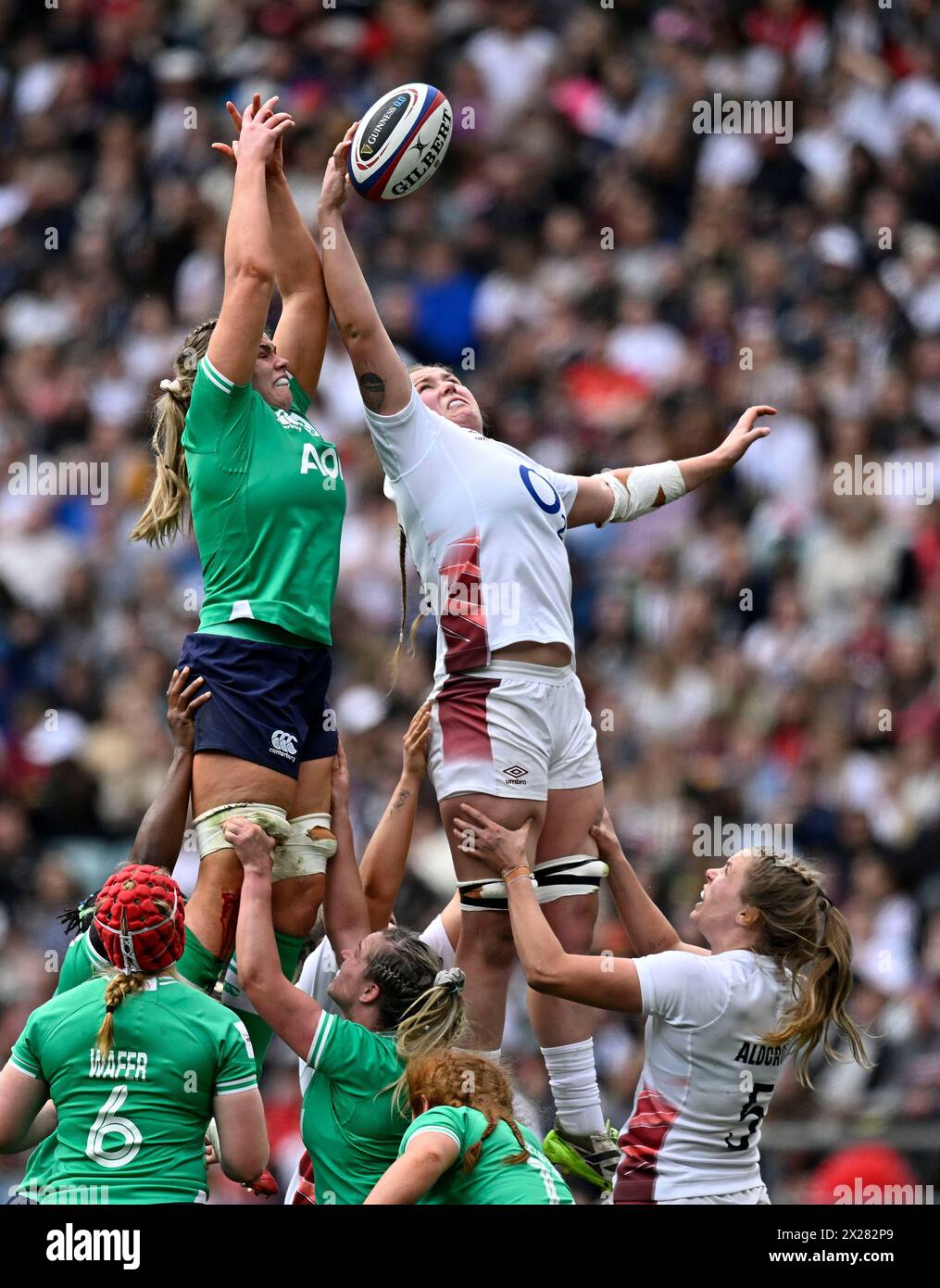 Fiona tuite hi-res stock photography and images - Alamy