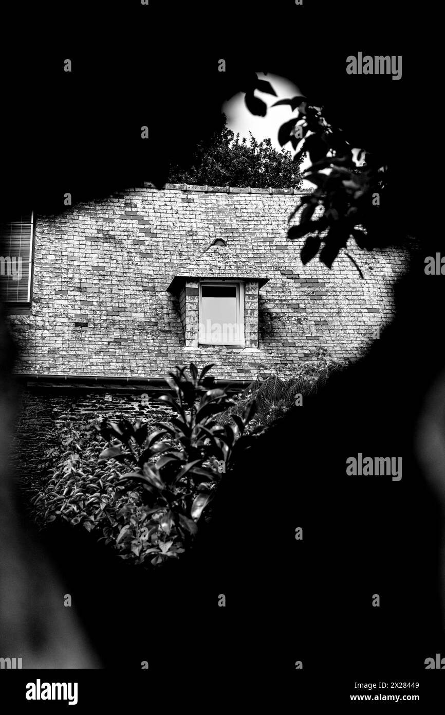 Distressing scene Black and White Stock Photos & Images - Alamy