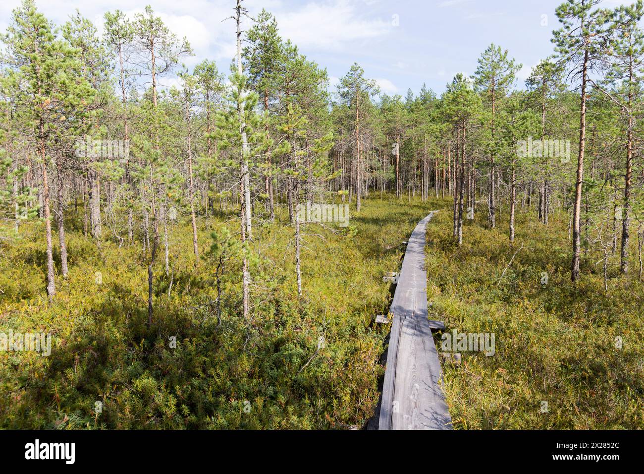 Photo of a trail in lake region of Finland Stock Photo - Alamy