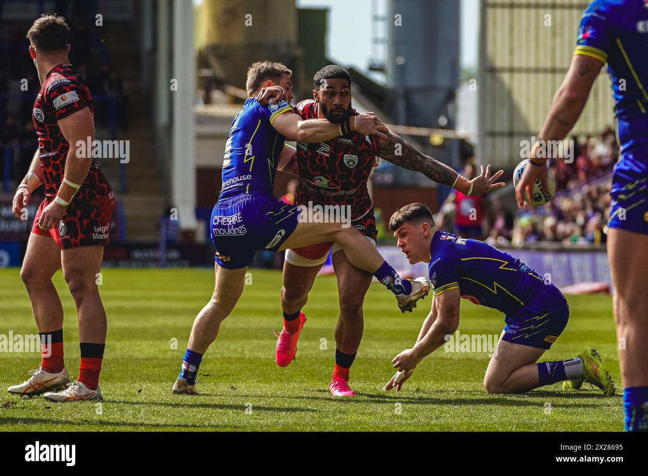 John asiata leigh leopards hi-res stock photography and images - Alamy