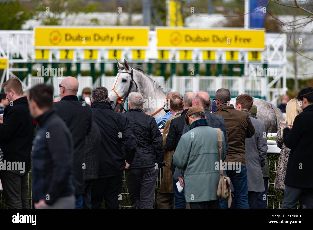 The Crowd at Newbury watch the runners in the Parade Ring on Spring ...