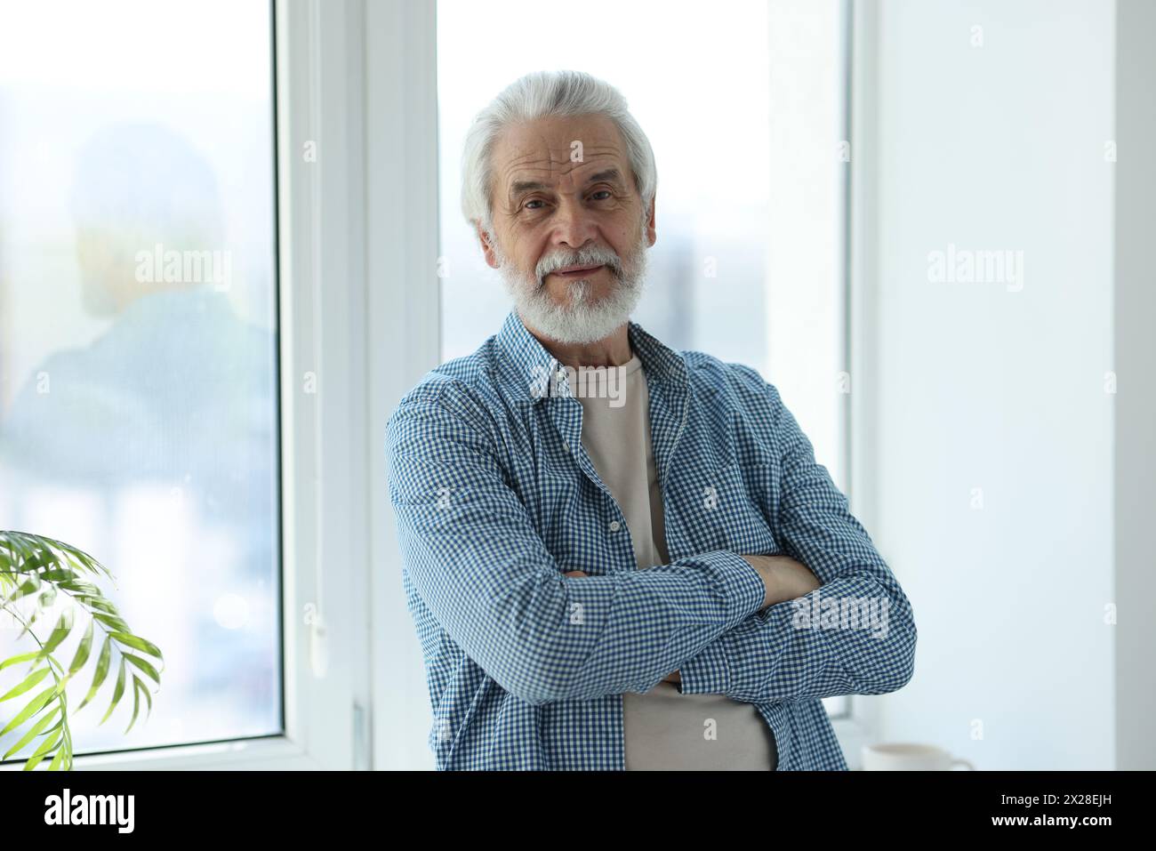 Portrait of happy grandpa with grey hair near window indoors Stock ...