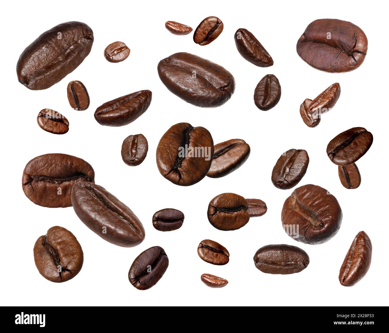 Fall color morning on Cut Out Stock Images & Pictures - Alamy