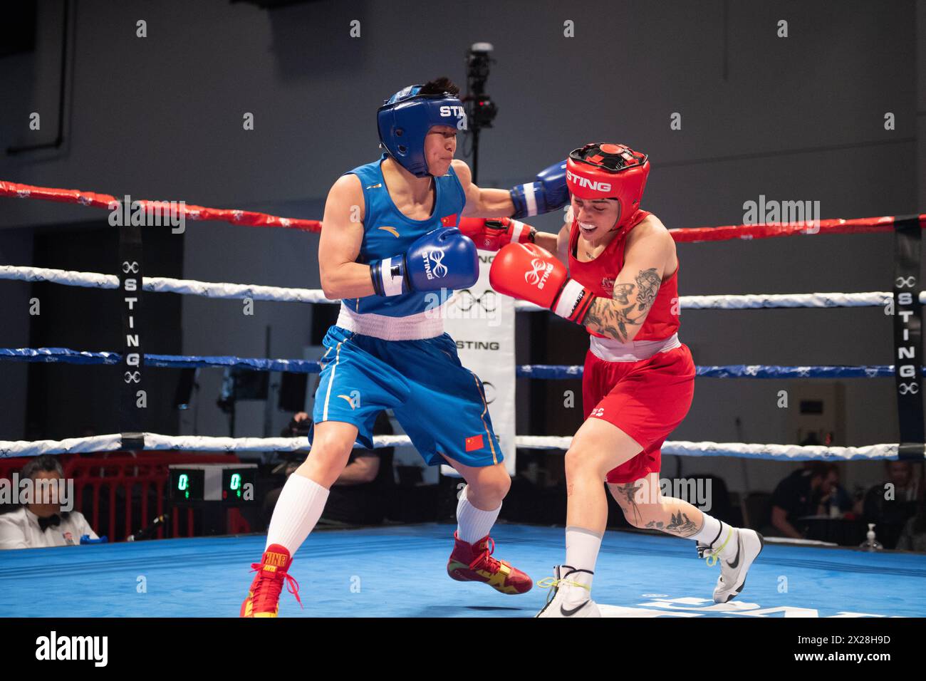 Australian boxer hi-res stock photography and images - Alamy