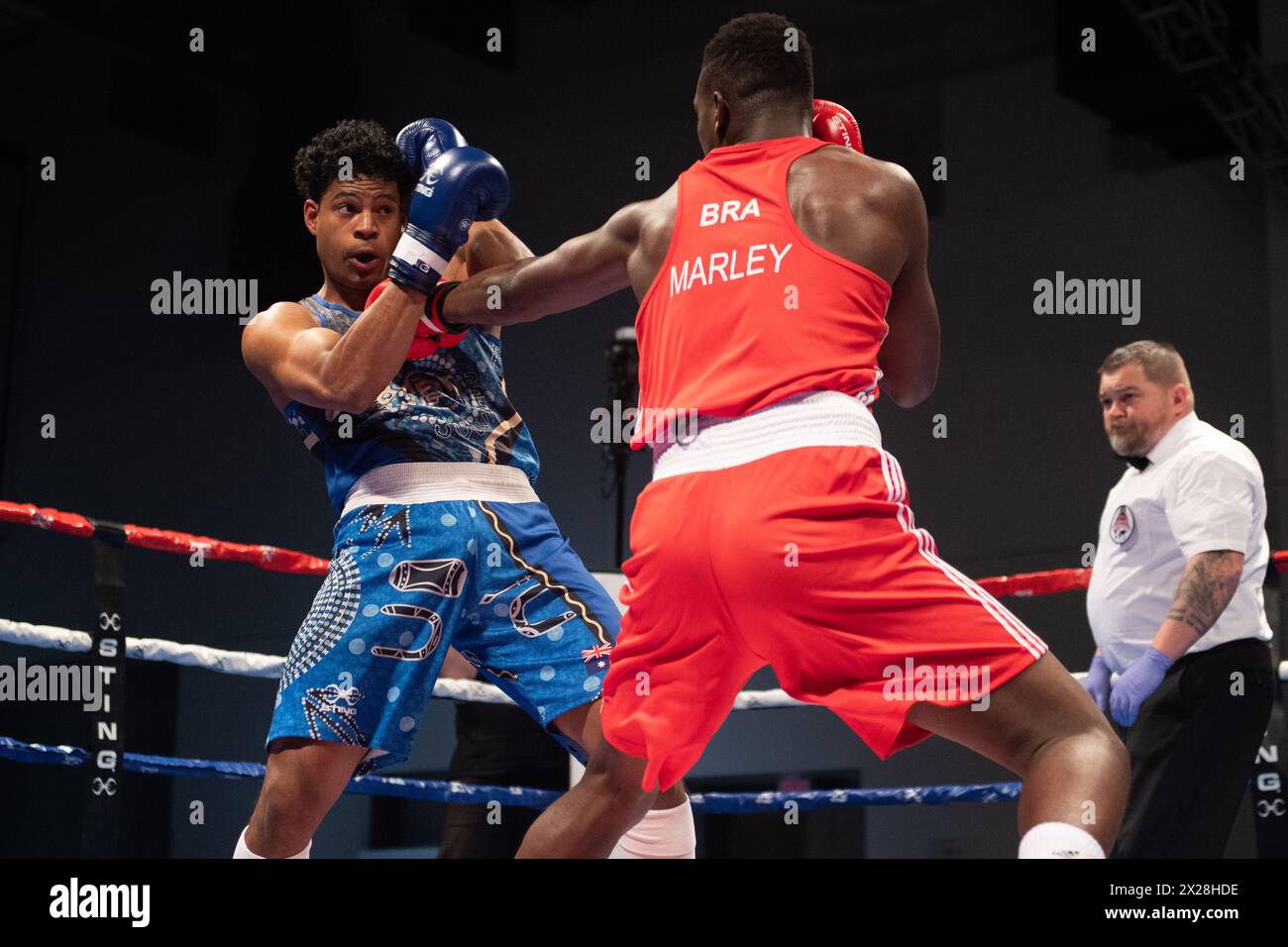 Brazilian champion boxer hi-res stock photography and images - Alamy