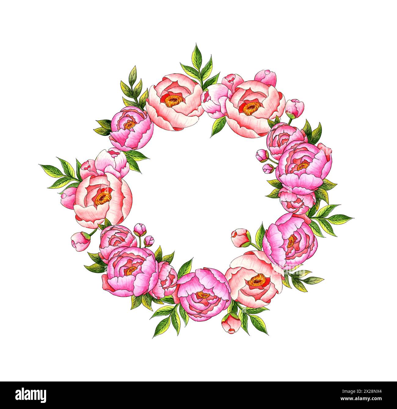 Featuring pink blooms Cut Out Stock Images & Pictures - Alamy
