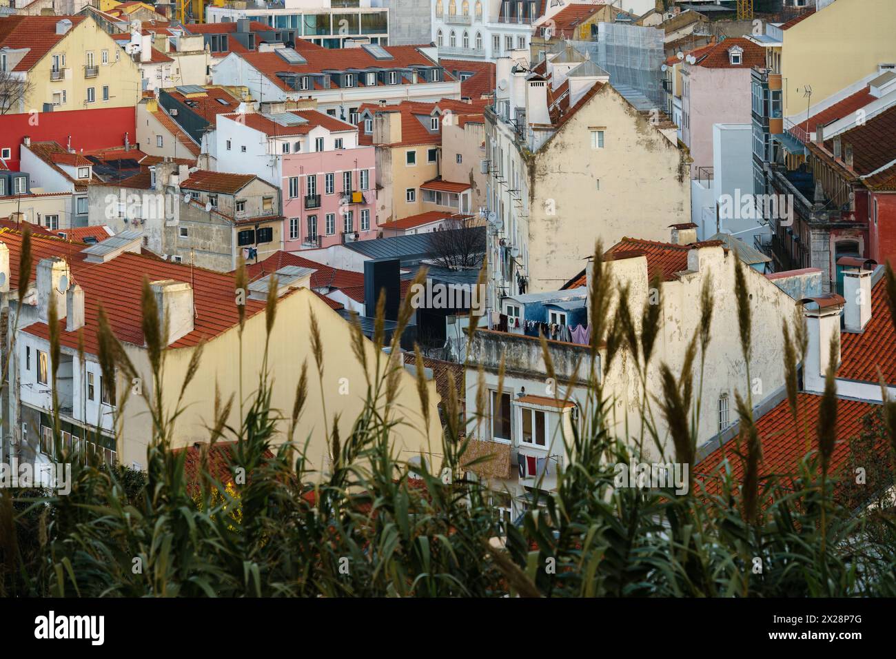 Residential Rooftops Seen From an Elevated Point in Lisbon, Portugal ...