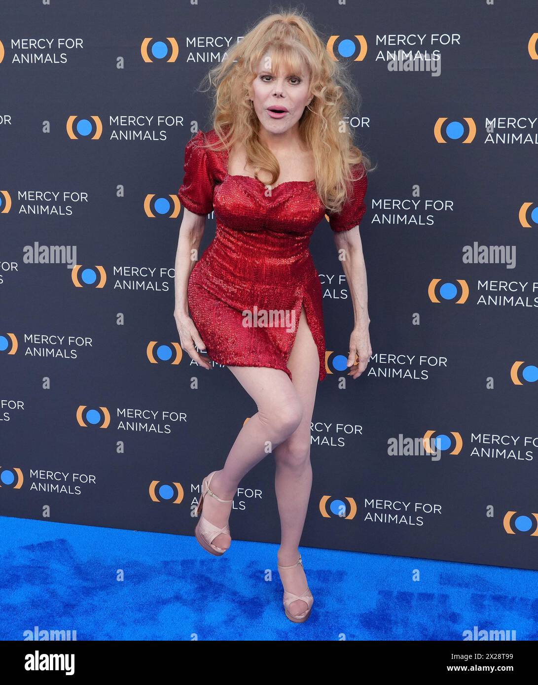 Charo arrives at the The Mercy for Animals 25th Annual Gala Celebration ...