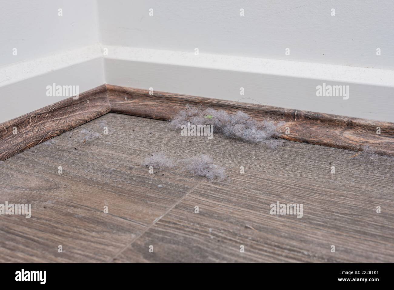 Pile of dust hi-res stock photography and images - Alamy