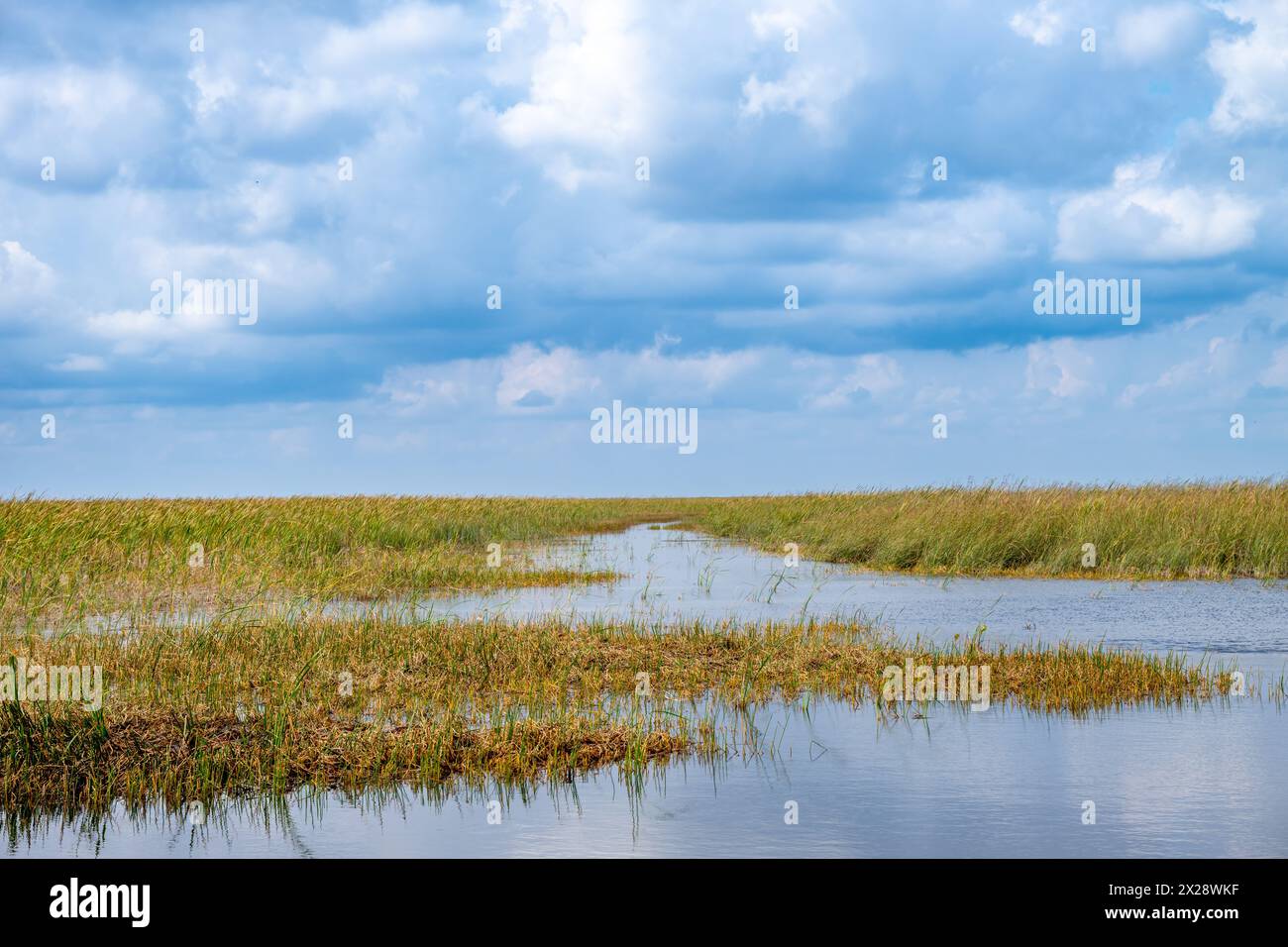 Grasslands everglades national park florida hi-res stock photography ...
