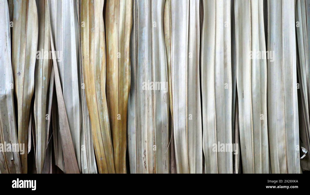 Traditional thatched roof background. Made from dry leaves of thatch ...