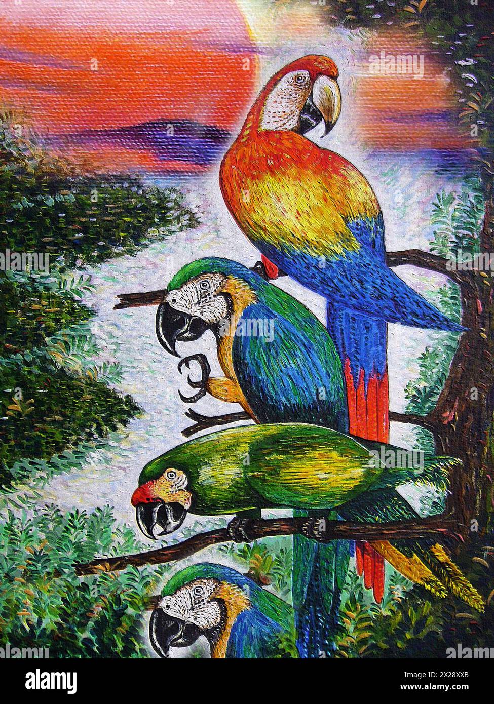 Original oil painting cute macaw parrot Stock Photo - Alamy