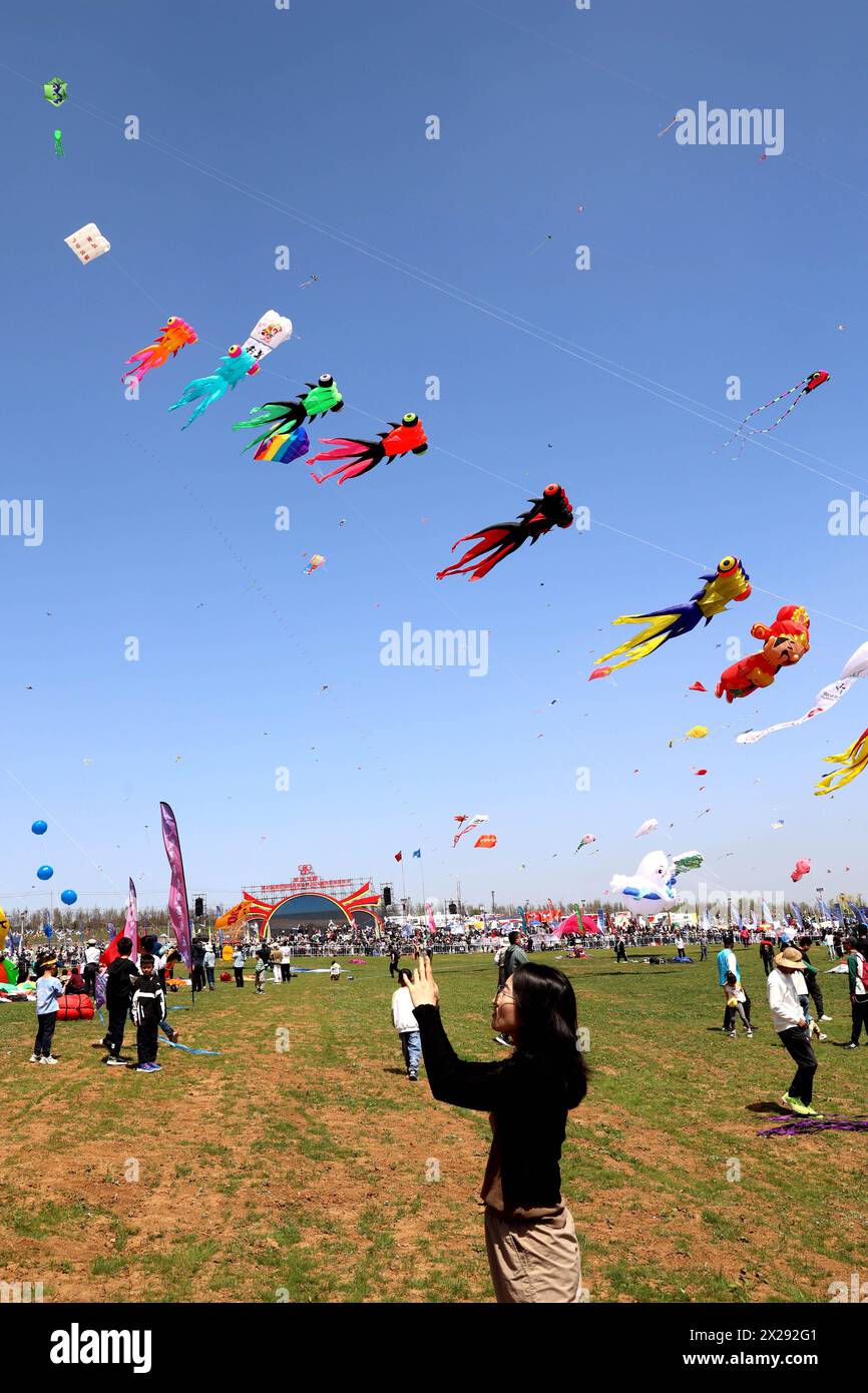 Kite festival 2024 hi-res stock photography and images - Alamy