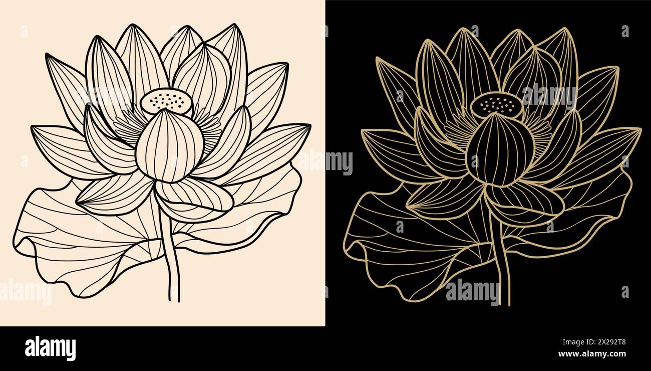 Card lotus flower ink Stock Vector Images - Alamy