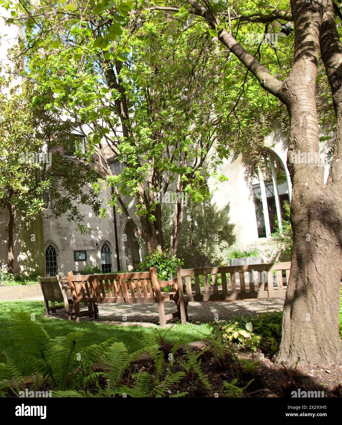 Church garden, St Dunstan in the East, City of London, UK. There have ...