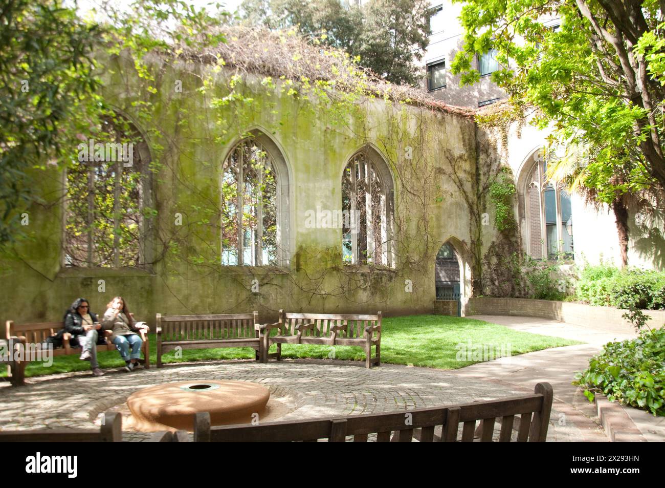 Damaged walls, plants and garden, St Dunstan in the East, City of ...
