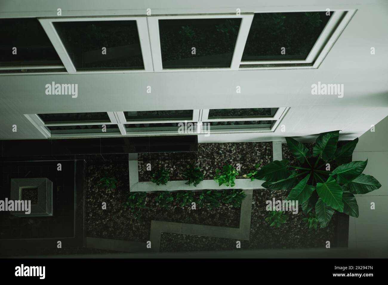 top down view Stock Photo - Alamy