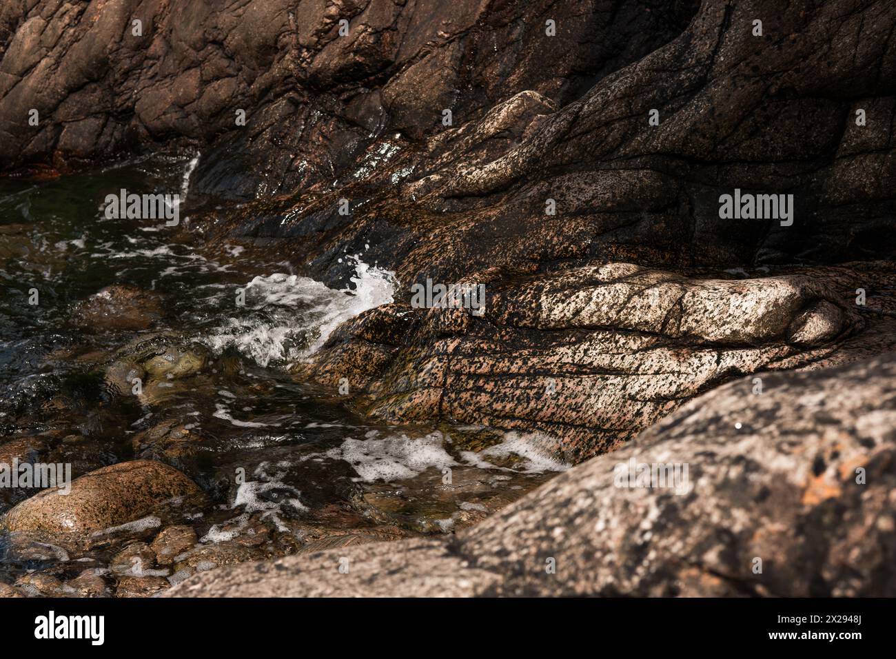 sea foam, on the seashore and warm sunlight Stock Photo - Alamy