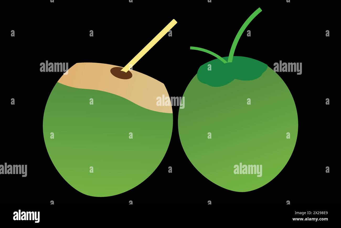 Coconut vector vectors hi-res stock photography and images - Alamy