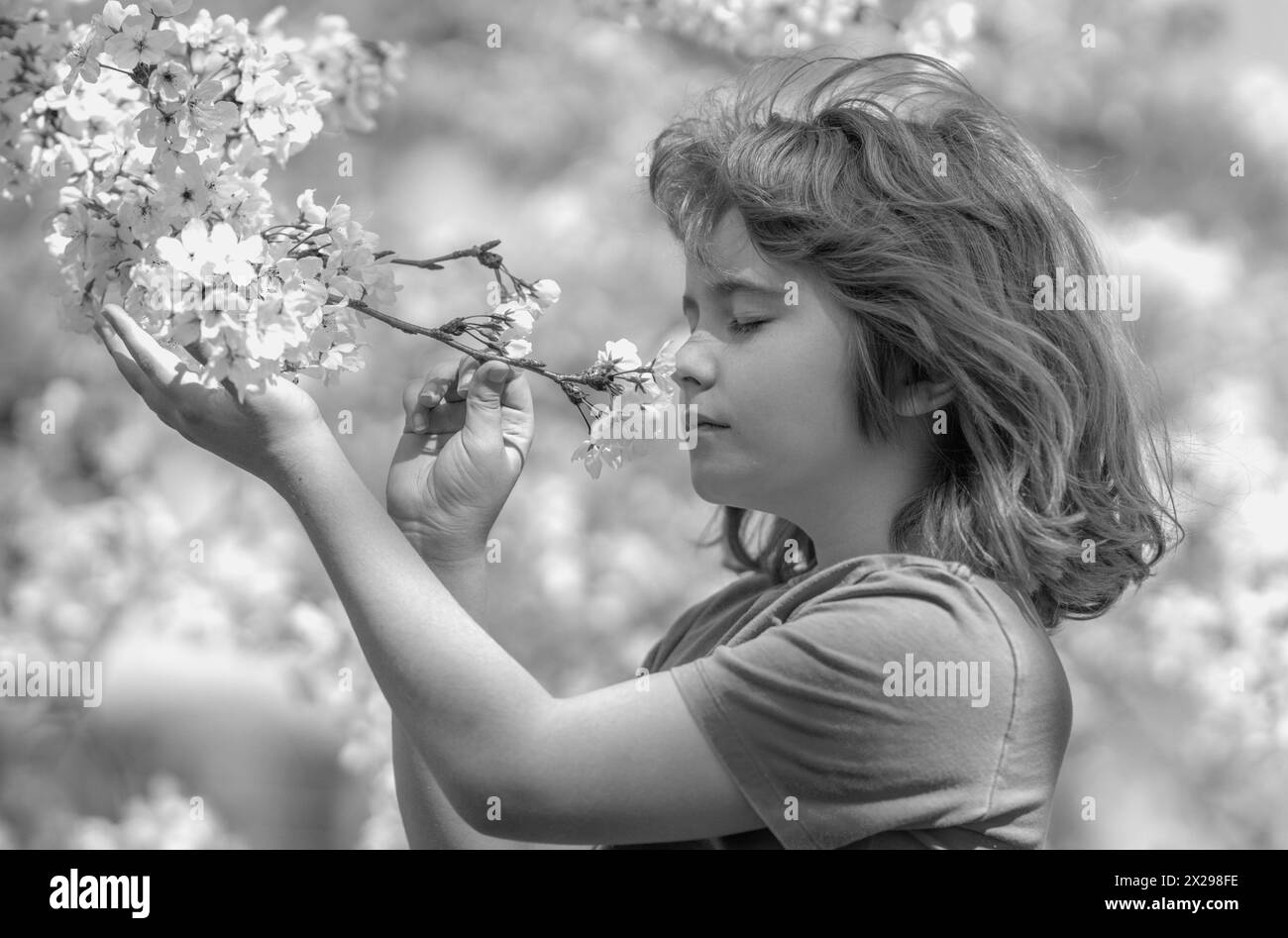 Kid playing under blooming cherry tree. Child in spring garden. Kid boy ...