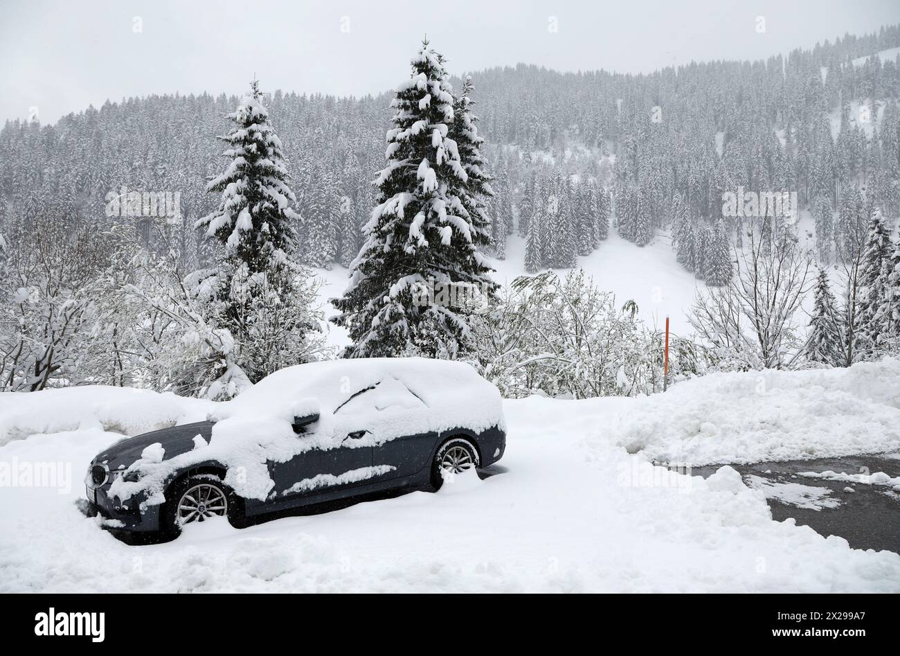 21 April 2024, Bavaria, Obermaiselstein: A snow-covered car on the ...