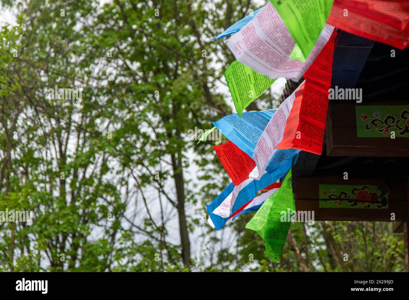 Tibetan multi colorful flags with prayers. Buddhism tradition. Tibet ...