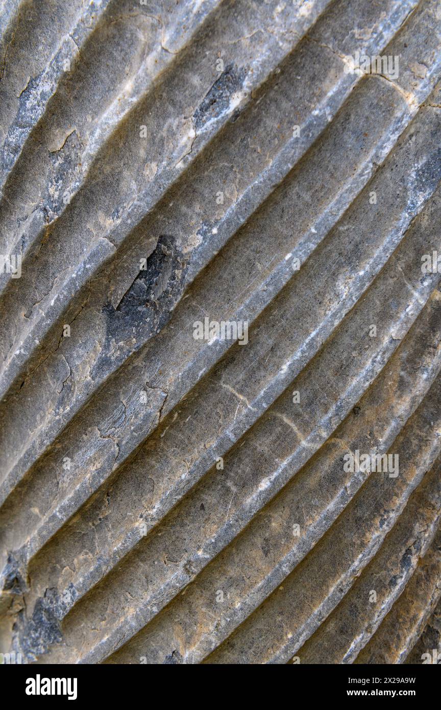. Aged photo. Marble column Texture. Close-up structure of a Roman ...