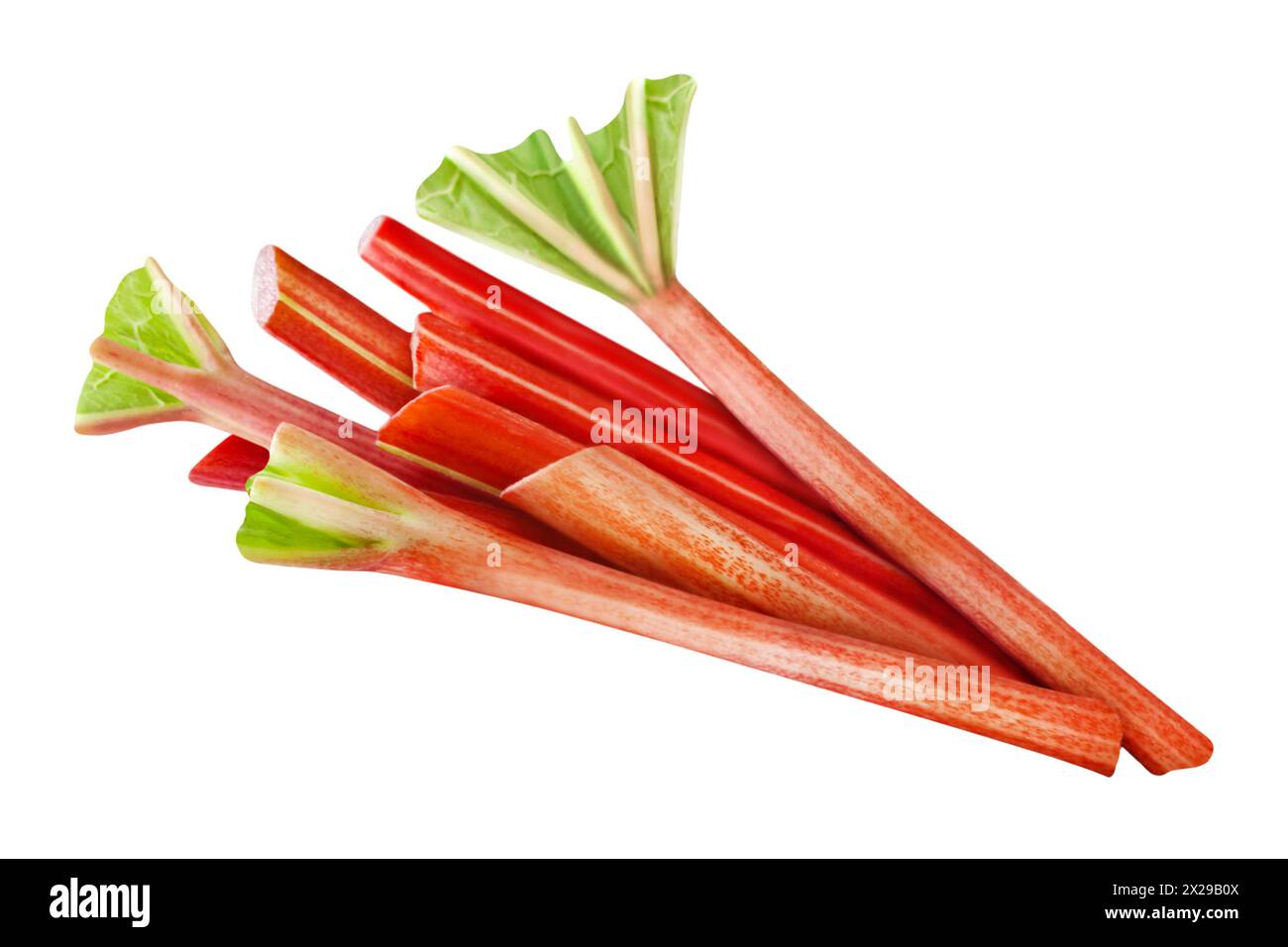 Fresh rhubarb isolated on white background Stock Photo - Alamy