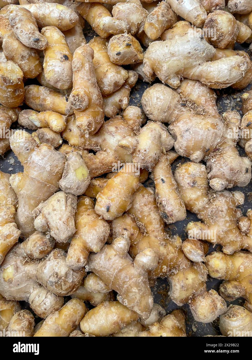 Dhaka bangladesh close up view hi-res stock photography and images - Alamy