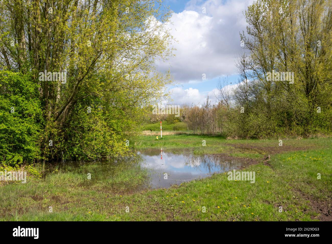 Millgate fields near Didsbury, South Manchester. Part of the river ...
