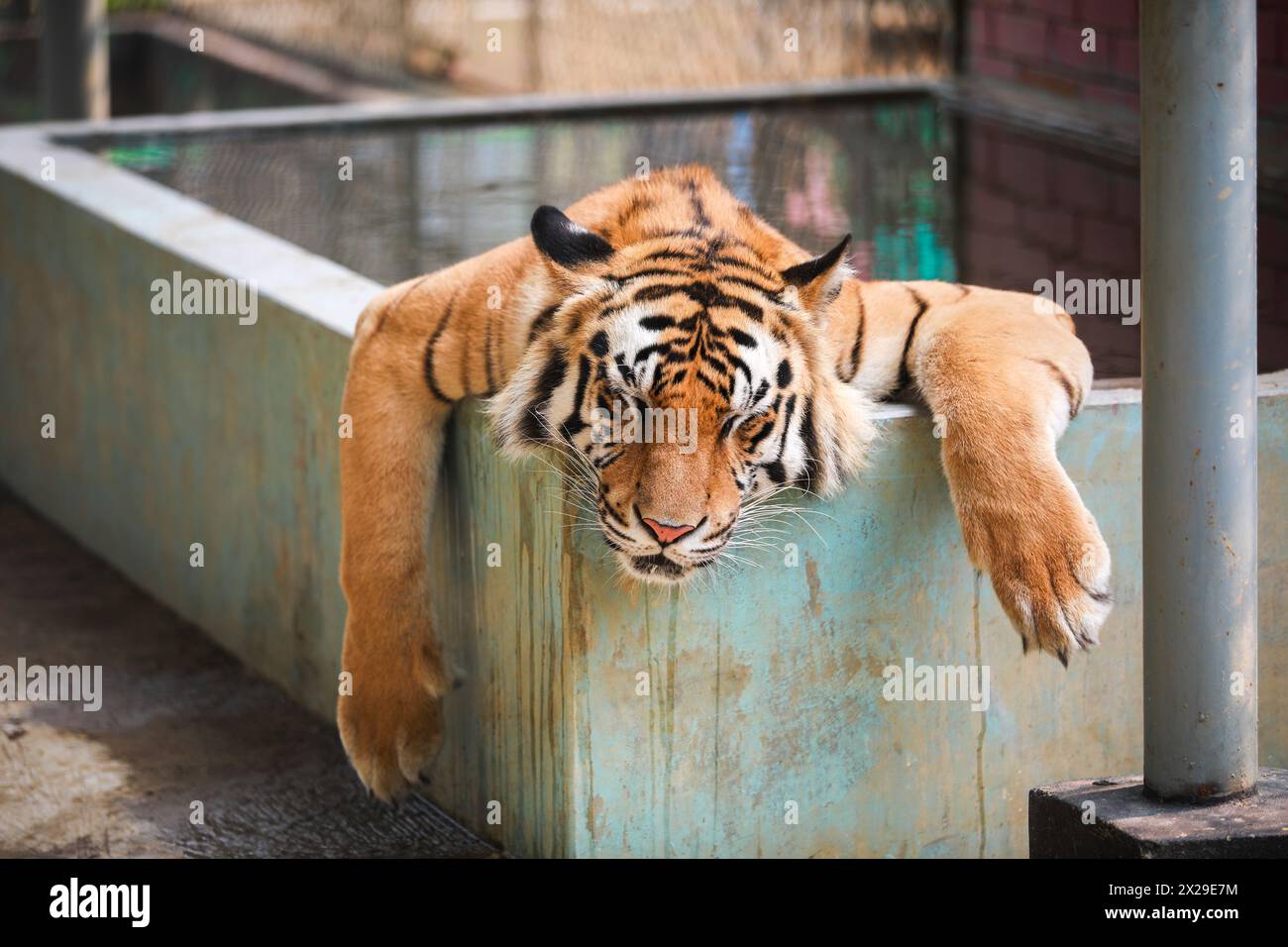 At the moment, the intense heat is going on in Bangladesh. Its effect ...
