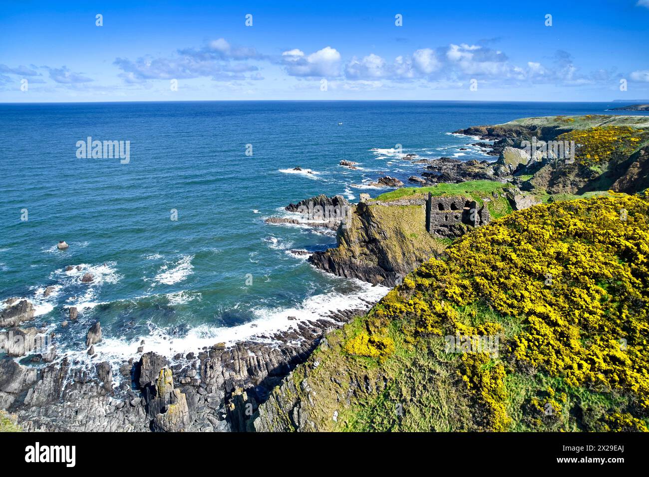 Findlater Castle Moray Firth Aberdeenshire Scotland the building ruins ...