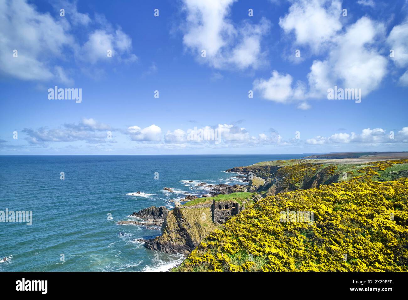 Findlater Castle Moray Firth Aberdeenshire Scotland the building ruins ...