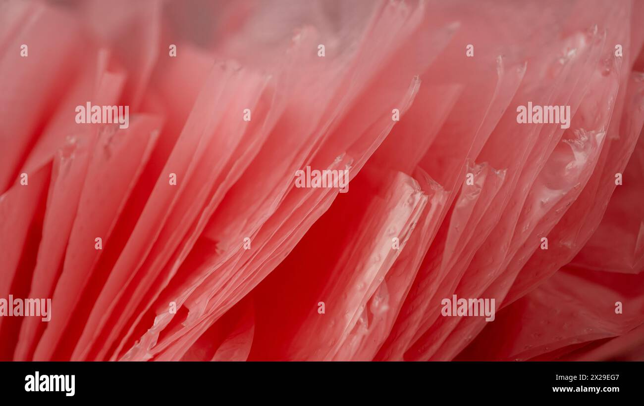Macro shot on a pack of plastic bags. Concept of microplastics and water pollution. Polyethylene ...