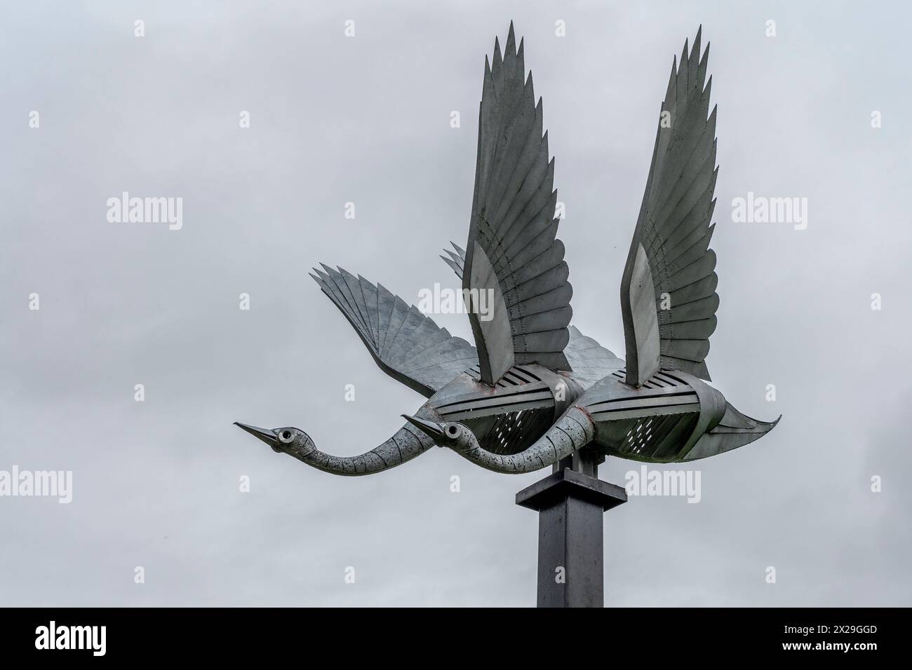 Swans in Flight metal sculpture by Walenty Pytel, riverside park, Ross ...